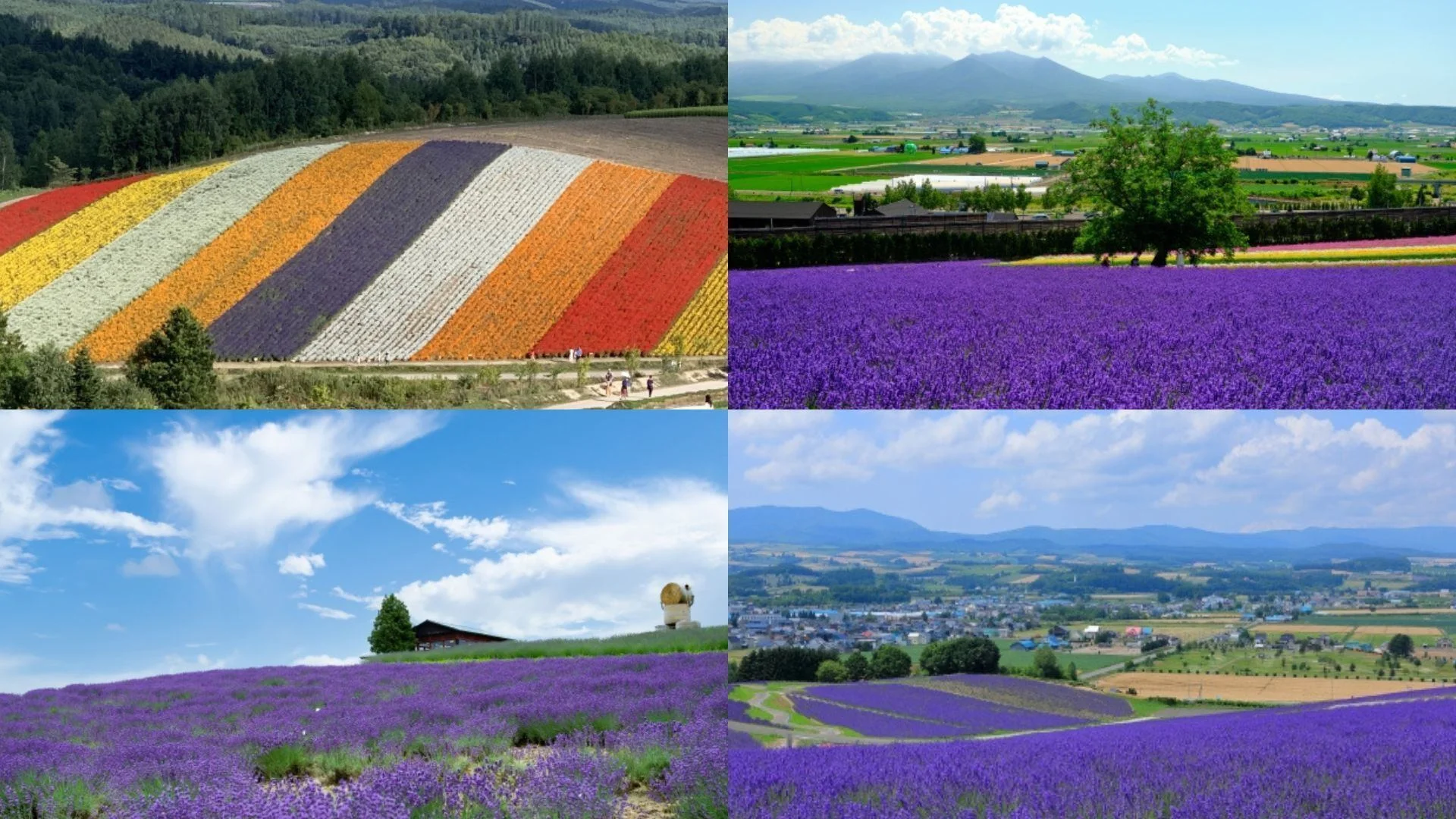 富良野拠点って1年間何をしていたの？ ーR4シティプロモーション事業活動Reportー | 関係移住人口事業